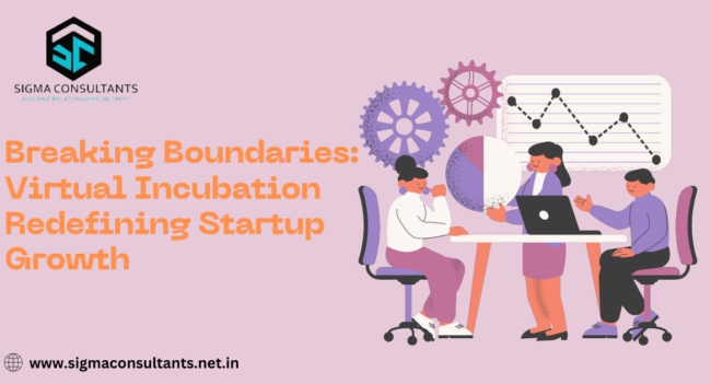 Breaking Boundaries: Virtual Incubation Redefining Startup Growth - Sigma Consultants